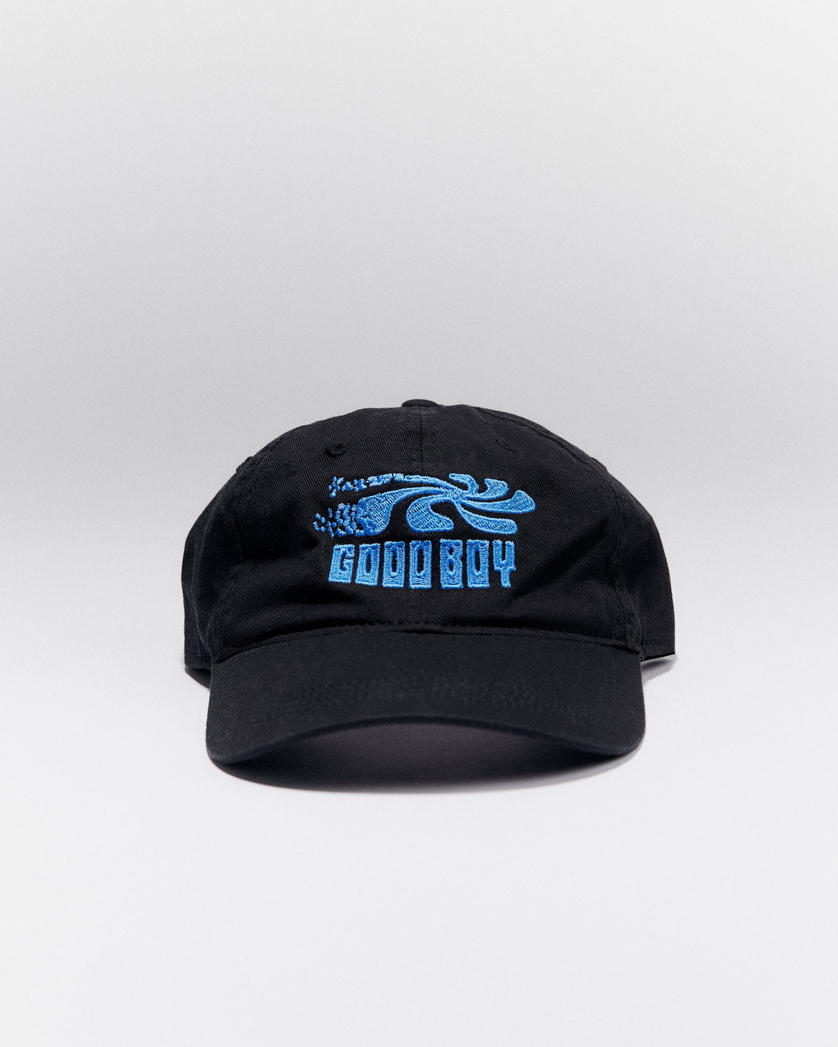Good Boy Swirl Dad Hat in Black/Blue 🌀 | Good Boy Wine